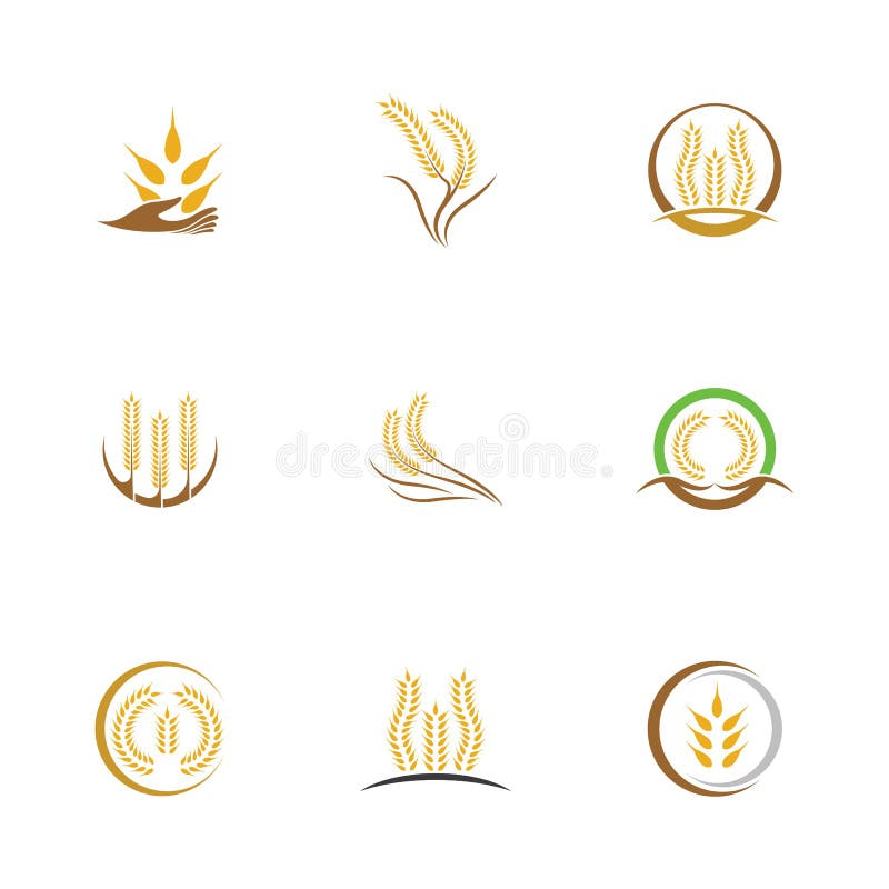 Wheat vector icon stock vector. Illustration of rice - 174832768