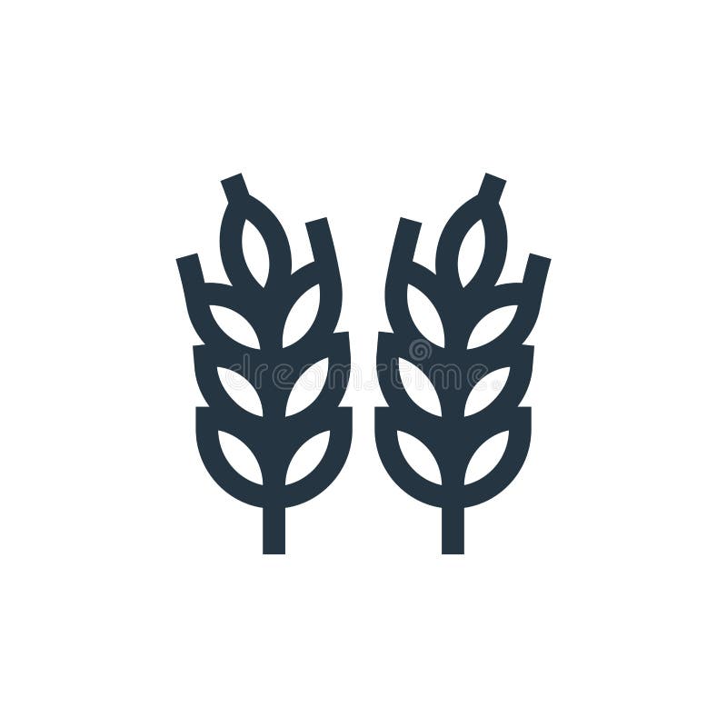 Wheat Vector Icon Isolated on White Background. Outline, Thin Line ...