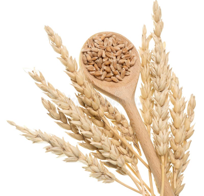 206 Primitive Wheat Stock Photos - Free & Royalty-Free Stock Photos ...