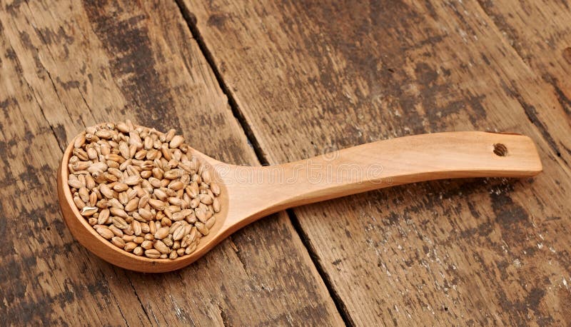 Wheat in wooden spoon stock image. Image of color, wheat - 24969669
