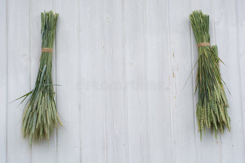 Wheat on a wooden table stock photo. Image of ears, food - 60845510