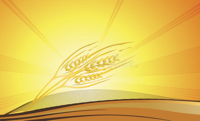 Wheatear stock vector. Illustration of flour, closeup - 34278751