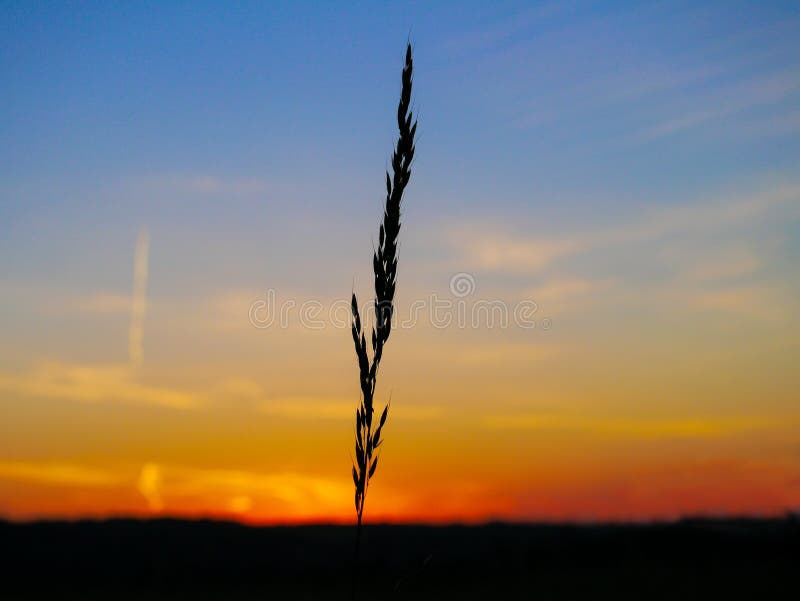 Lonely sunset stock image. Image of colorful, sunset - 137352827