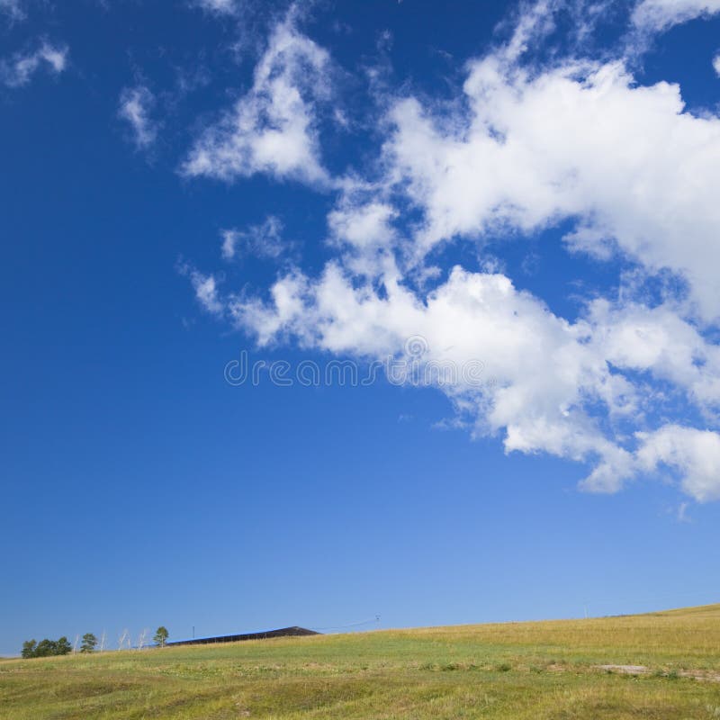 Wheaten field stock image. Image of grow, field, grain - 12606829