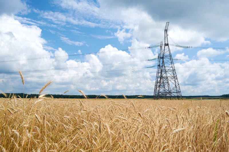 Wheatfield stock photo. Image of industry, golden, farm - 32340786