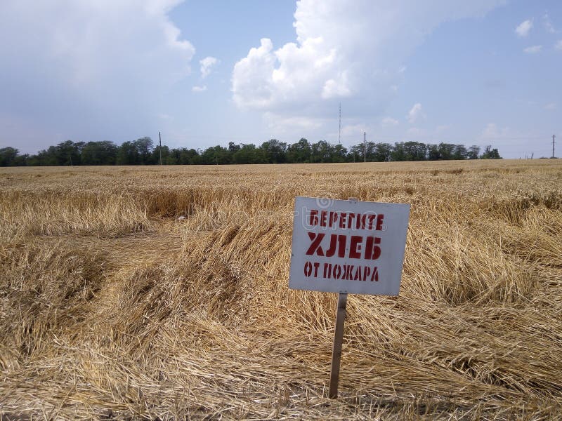 Nwheatfield Stock Photos - Free & Royalty-Free Stock Photos from Dreamstime