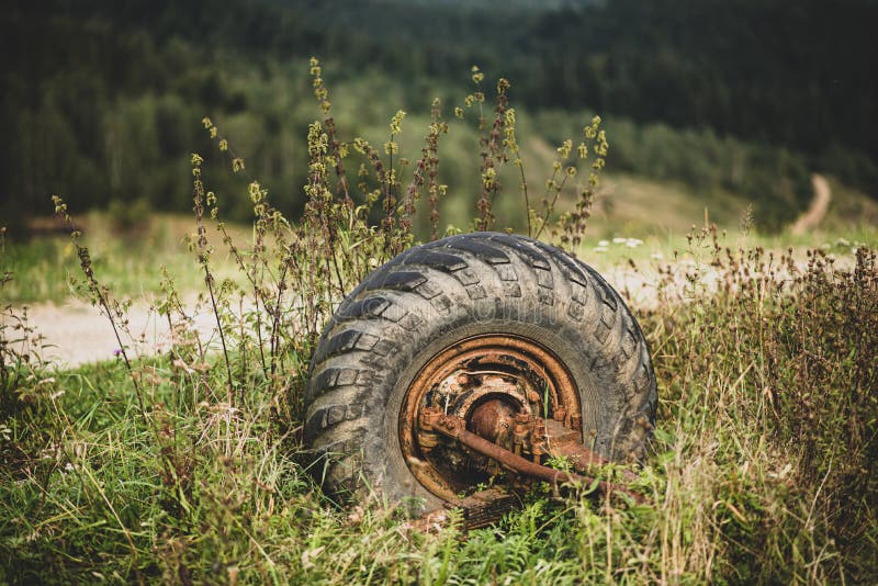 Wheel of an Abandoned Vehicle among the Green Grass on the Side of a ...