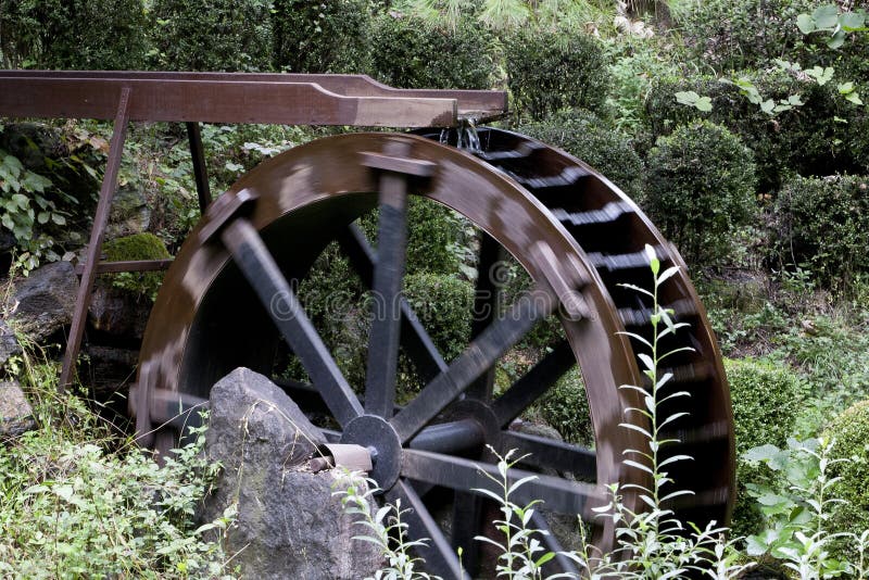 Wheel, Automotive Tire, Tire, Tree Picture. Image: 113374196