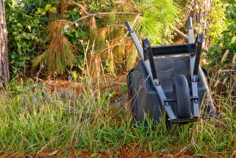 Stored in the tree trunk stock image. Image of depth - 185687739