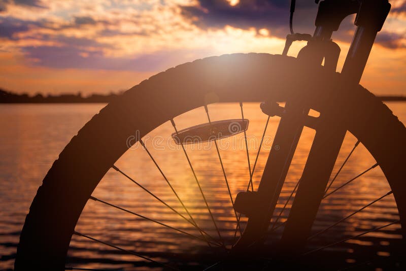 The Wheel of a Bicycle in the Light of Summer Sunset Stock Photo ...
