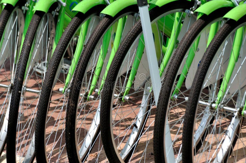 Bicycle Line Covered by Autumnal Leaves by Rainy Day Stock Photo ...
