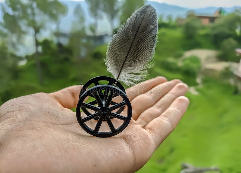 A Wheel and Bird Feather on Hand. Stock Image - Image of lawn, nature ...
