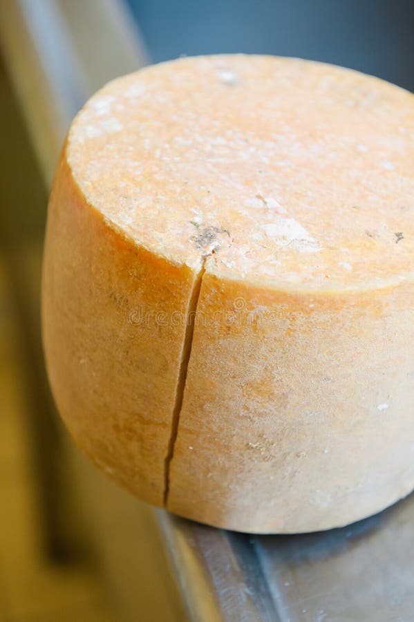 A wheel of cheese stock photo. Image of mold, pasture - 27128636