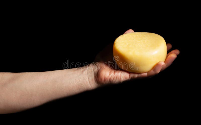 Wheel of Cheese in Hand on Black Stock Photo - Image of studio, hand ...