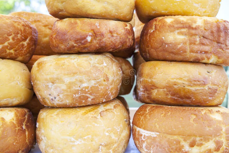 Wheel of fresh cheese stock photo. Image of vitamins - 34661296