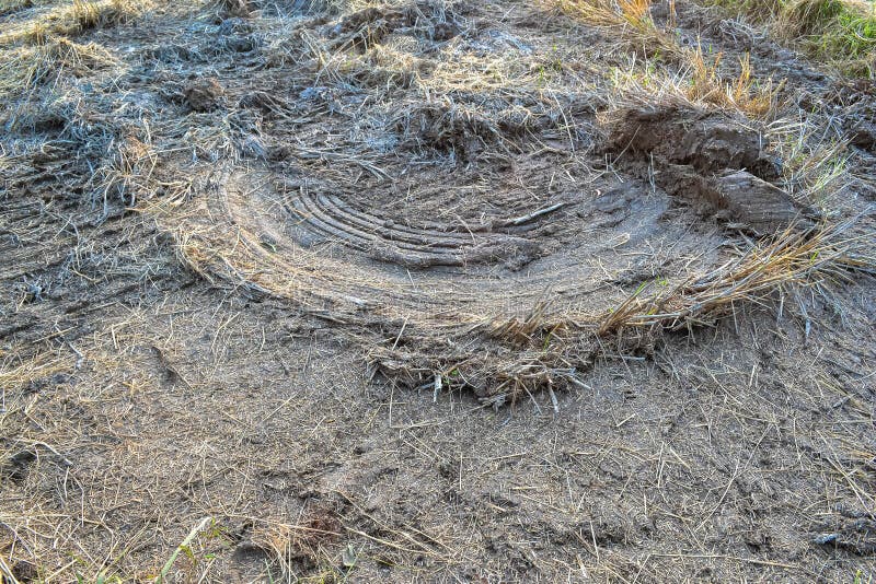 A Wheel on the Ground in Rice Stock Image - Image of land, background ...