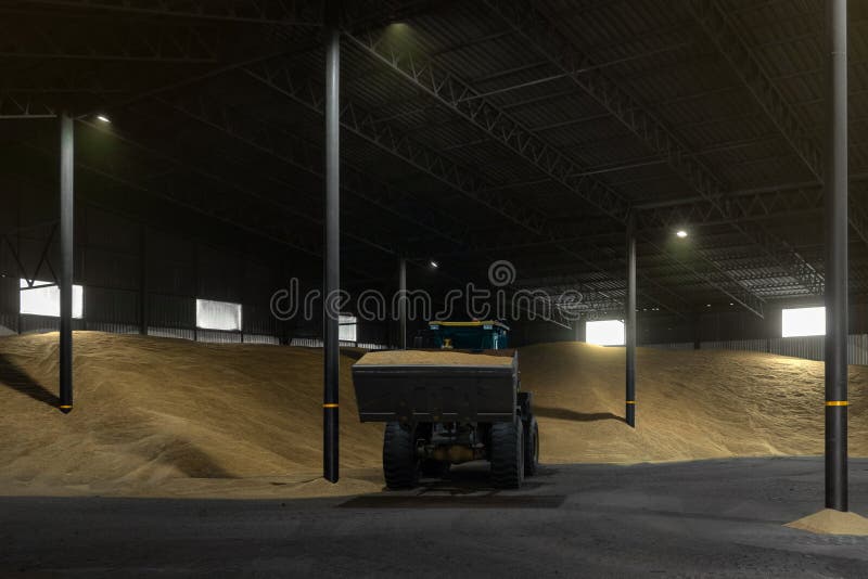 169 Soybeans Loading Stock Photos - Free & Royalty-Free Stock Photos ...