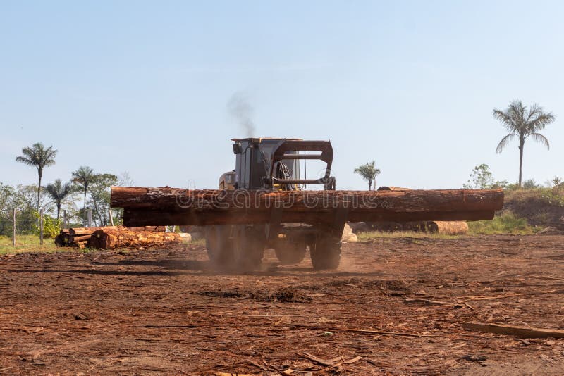 Wheel Loader Carrying a Tree Log Editorial Stock Photo - Image of ...