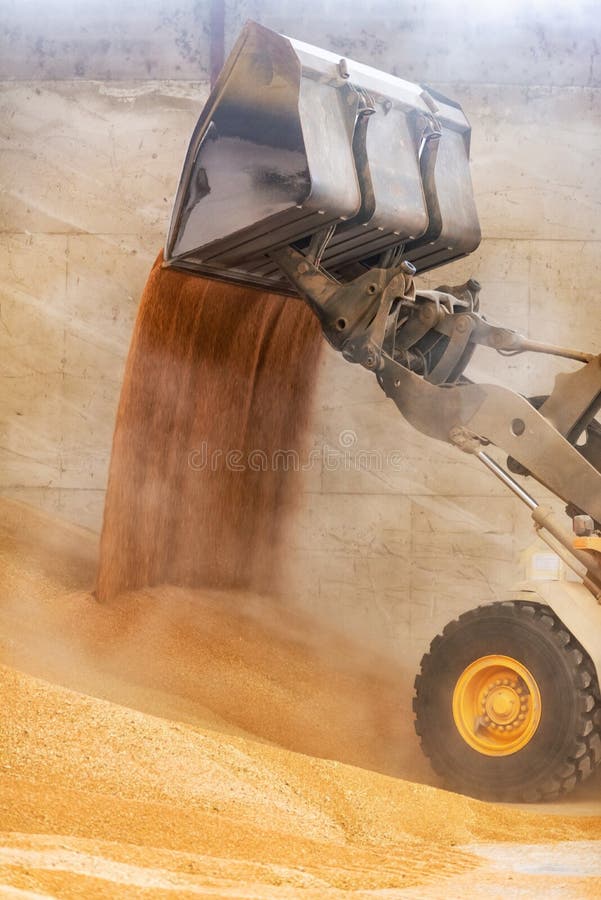 Wheel Loader Close Up, Excavator Loading Sand at Construction Site ...