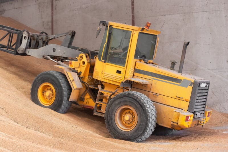 Wheel Loader Working at Grain Wheat Warehouse. Agriculture Industry ...