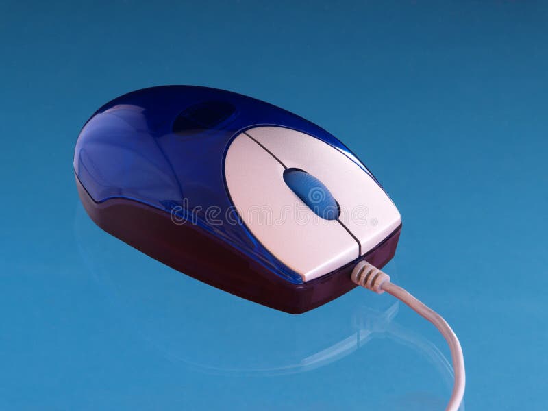 Mouse on wheel stock image. Image of treadmill, wheel, fitness - 542095