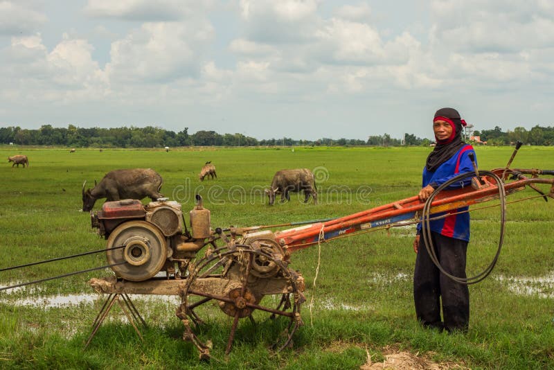 Wheel plough stock photo. Image of buffalo, agriculture - 46001204