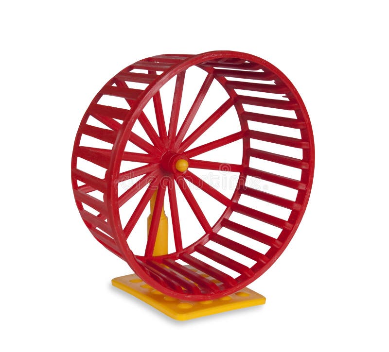 Rodent Exercise Wheel Isolated on White. Stock Image - Image of mouse ...