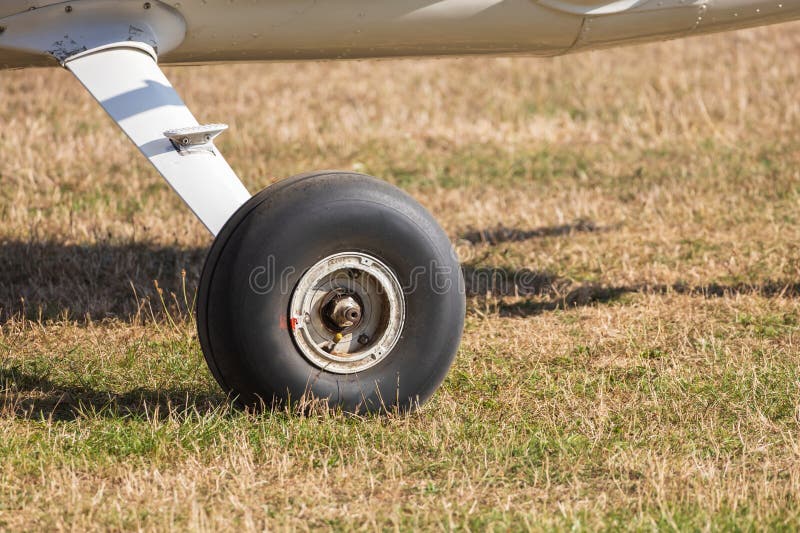 The Wheel of a Small Plane Standing on a Meadow before Take-off Stock ...