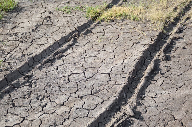 Wheel track on the ground stock photo. Image of track - 242779434