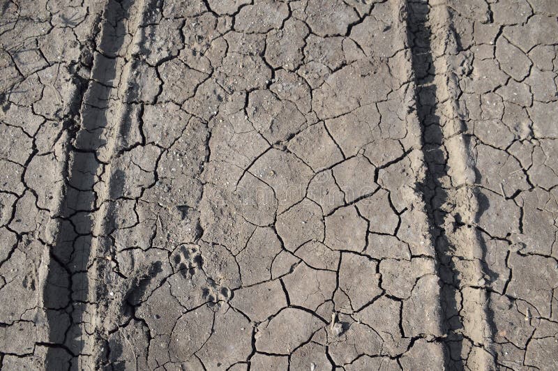 Wheel track on the ground stock photo. Image of track - 242779434