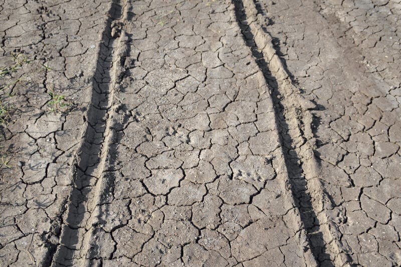 Wheel track on the ground stock photo. Image of track - 242779434