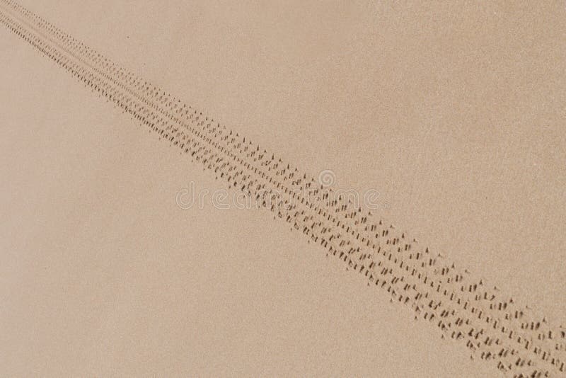 Wheel Track on Dust Dune on a Beach Stock Photo - Image of pattern ...