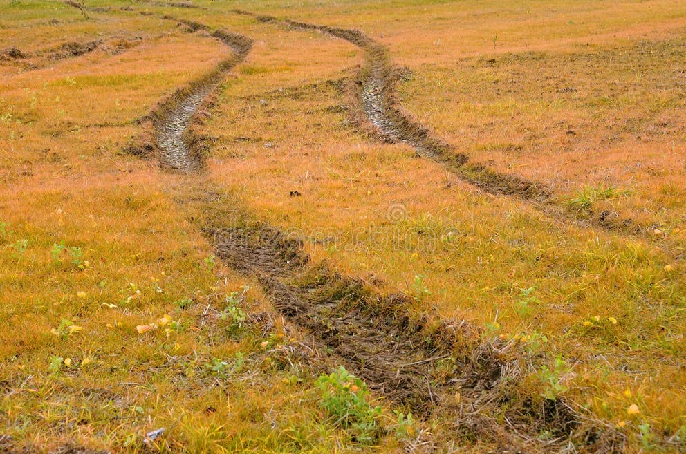 Wheel Track in the Fall stock image. Image of fall, nature - 183626005