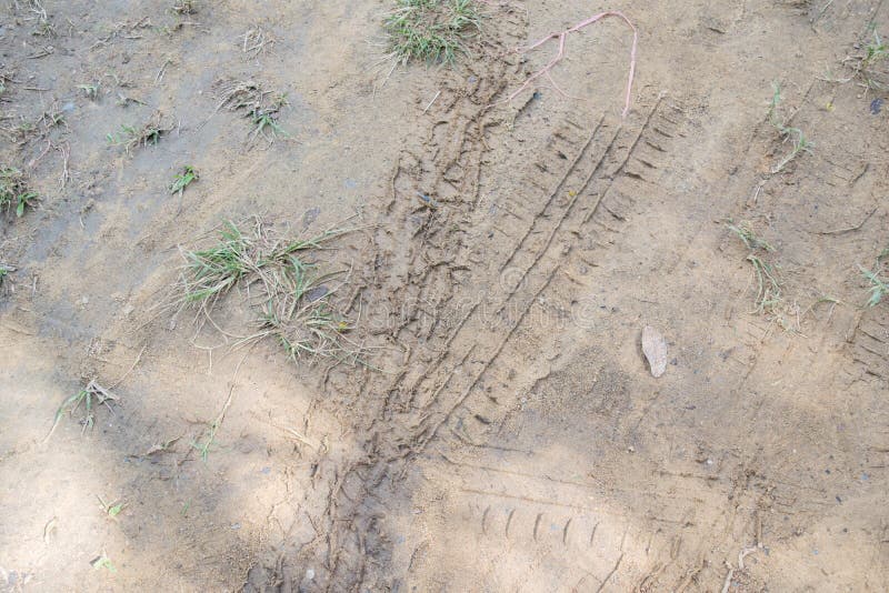 Wheel track on a ground. stock photo. Image of evening - 83639588
