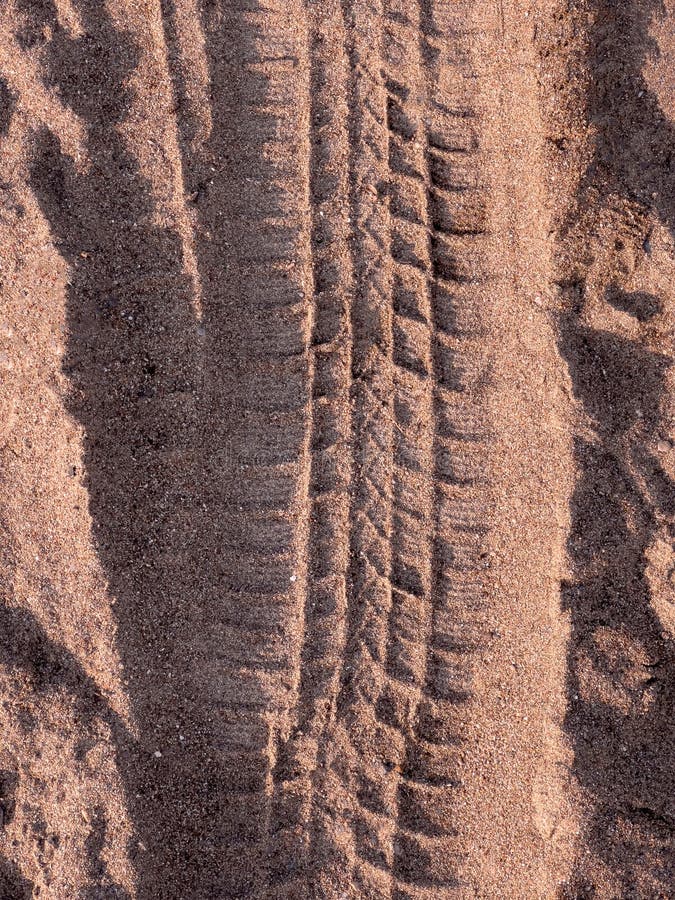 Wheel Track of a 4x4 Vehicle Driving Past the Beach at Sunset Stock ...