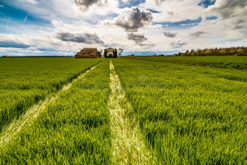 Wheel Tracks in Cultivated Fields Stock Photo - Image of environment ...