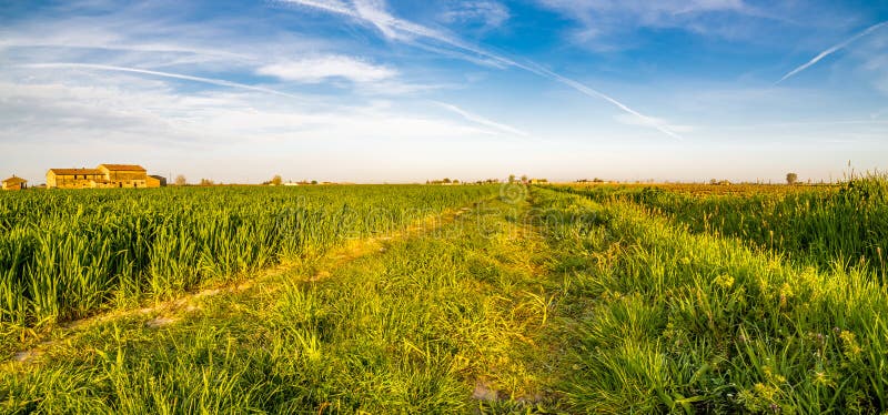 Wheel Tracks in Cultivated Fields Stock Photo - Image of wheel ...