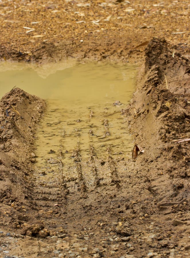 Wheel tracks after raining stock photo. Image of tire - 43426332