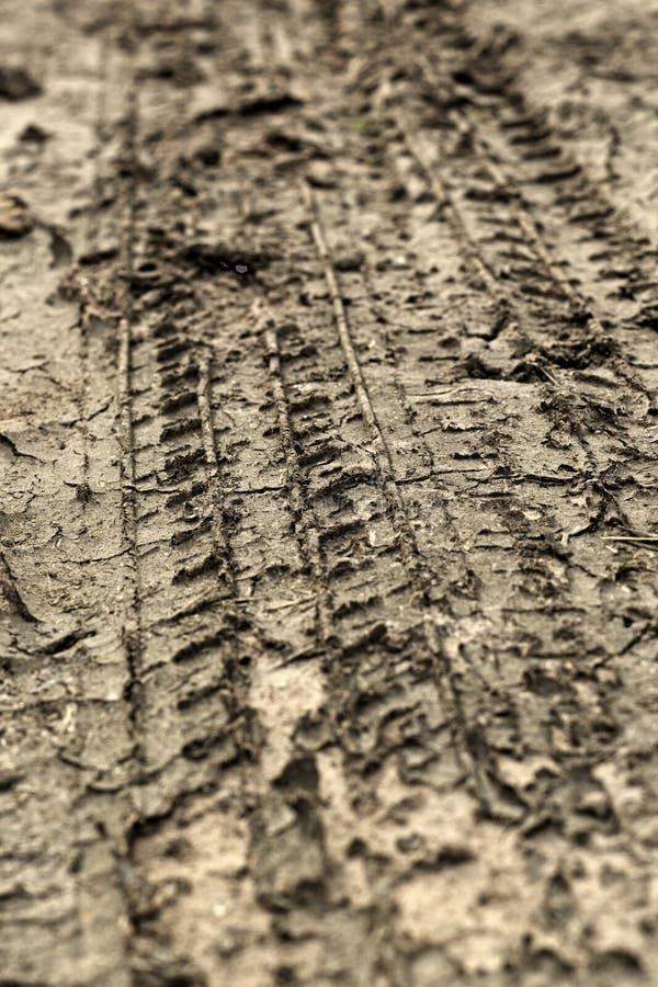 Wheel tracks on the soil. stock photo. Image of land - 47985478