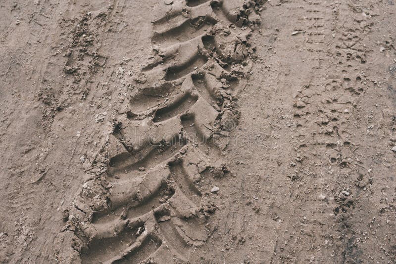Wheel tracks of a tractor stock photo. Image of sand - 207595476