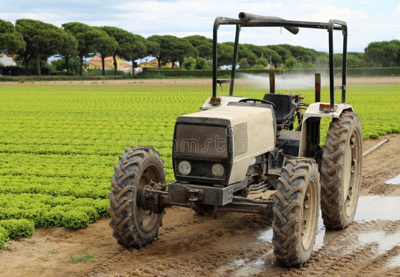 324 Tractor Stuck Stock Photos - Free & Royalty-Free Stock Photos from ...