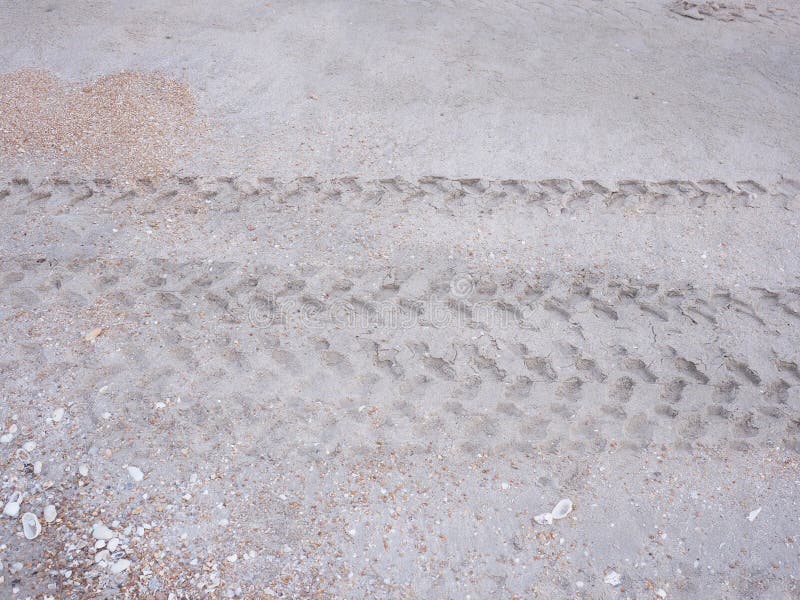Wheel Tread Marks in the Sand on the Beach Stock Photo - Image of stone ...