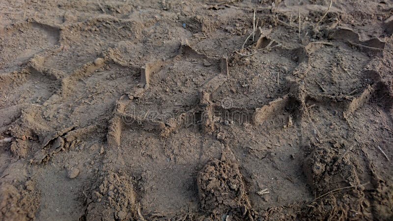 Wheel Tread Texture on Sand that Has Been Damaged Stock Image - Image ...