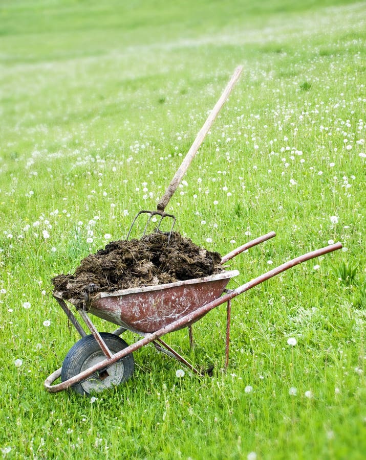 Wheelbarrow stock photo. Image of cart, garbage, animal - 9673524