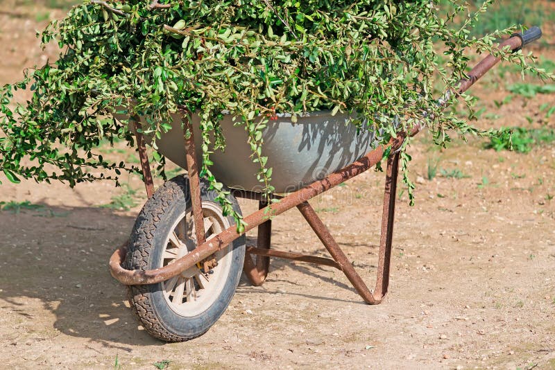 Wheelbarrow detail stock photo. Image of environment - 34936294