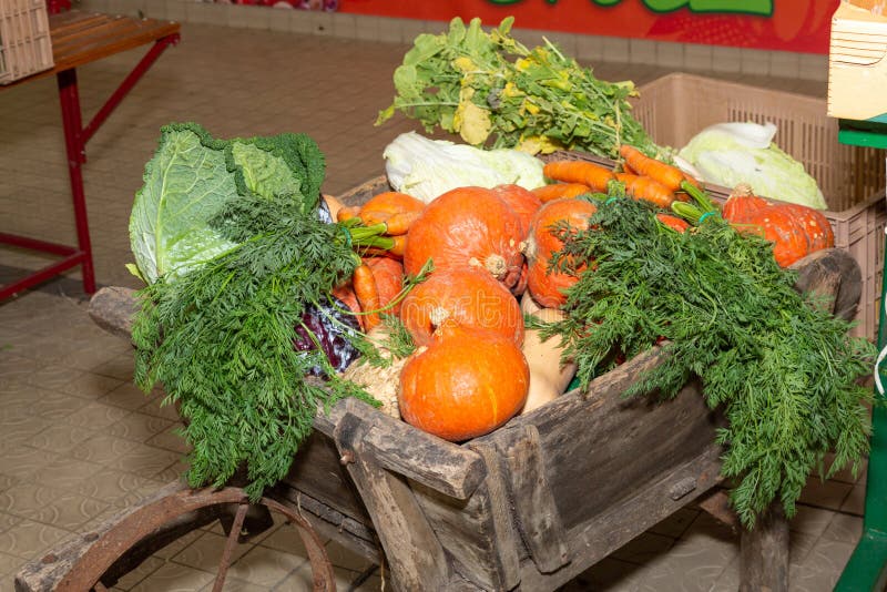 Wheelbarrow Filled with Vegetables Stock Photo - Image of fane ...