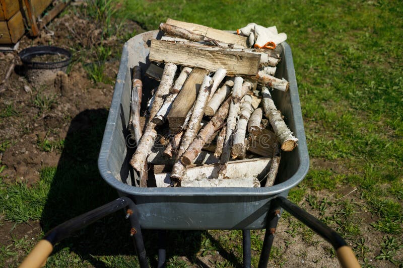 A Wheelbarrow Full of Firewood. Top View Stock Photo - Image of trunk ...