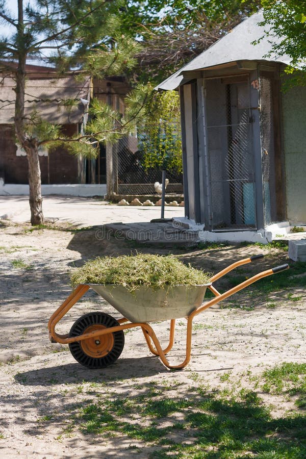 Wheelbarrow with Mown Grass Standing in Animal Reserve Park. Spring ...