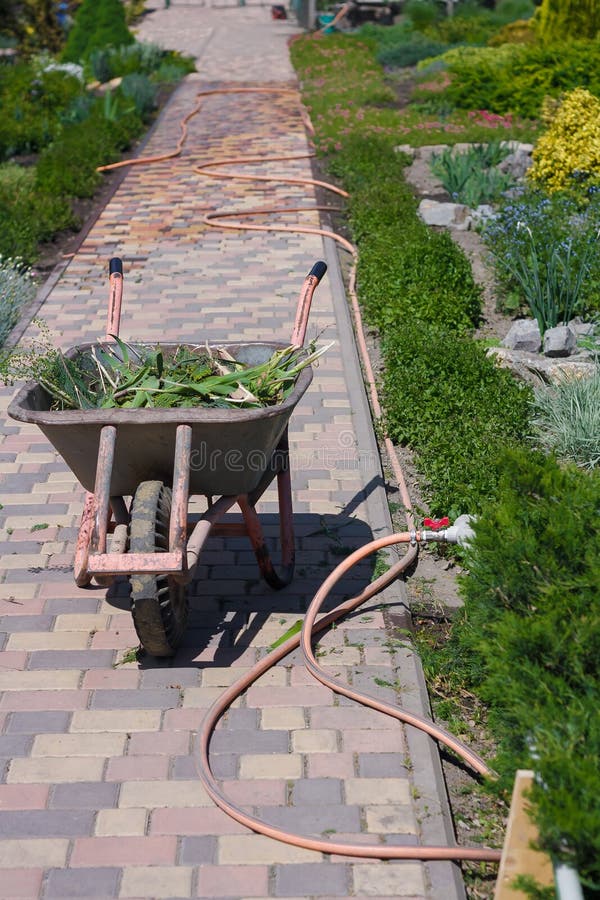 Wheelbarrow Mown Grass Standing Botanical Garden Park Spring Work Stock ...