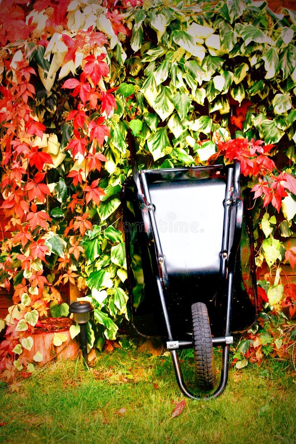 Wheelbarrow resting stock image. Image of autumn, virginia - 3353729
